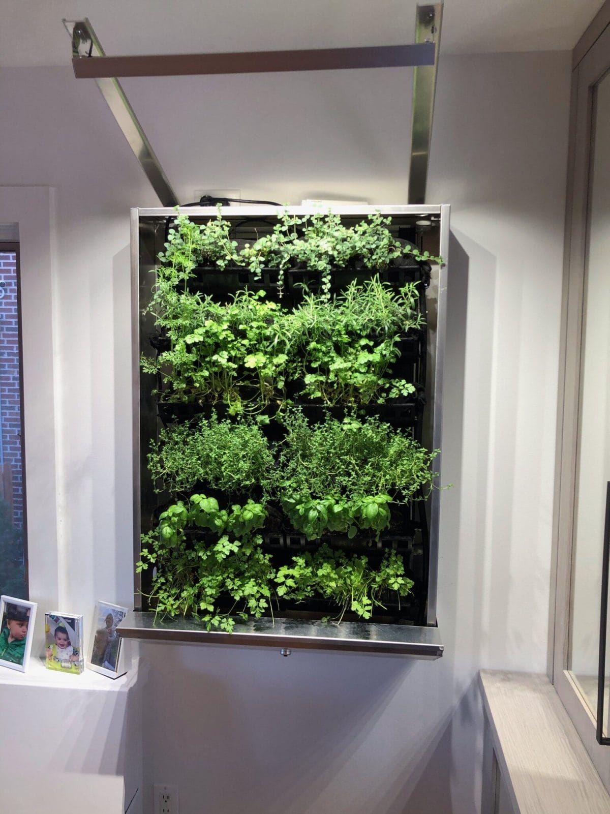 Testimonials - Varden Vertical Gardens