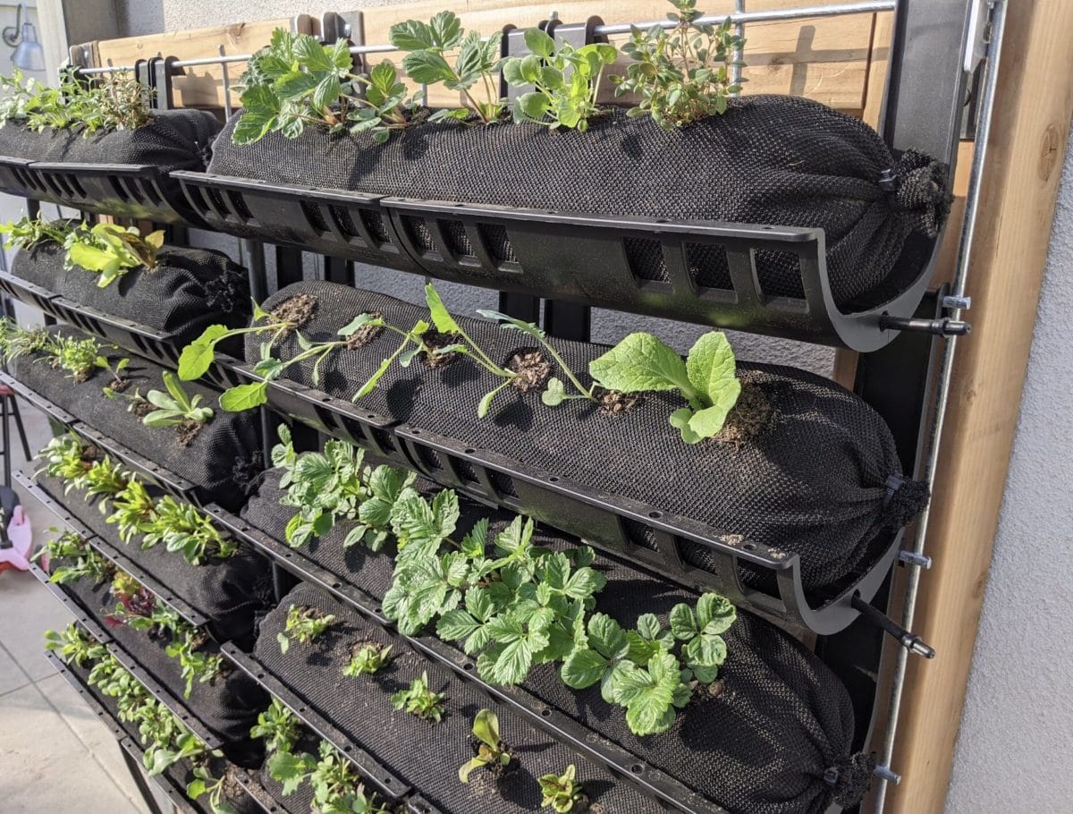 Varden™ Trays(12 ct) - Vertical Garden Supply