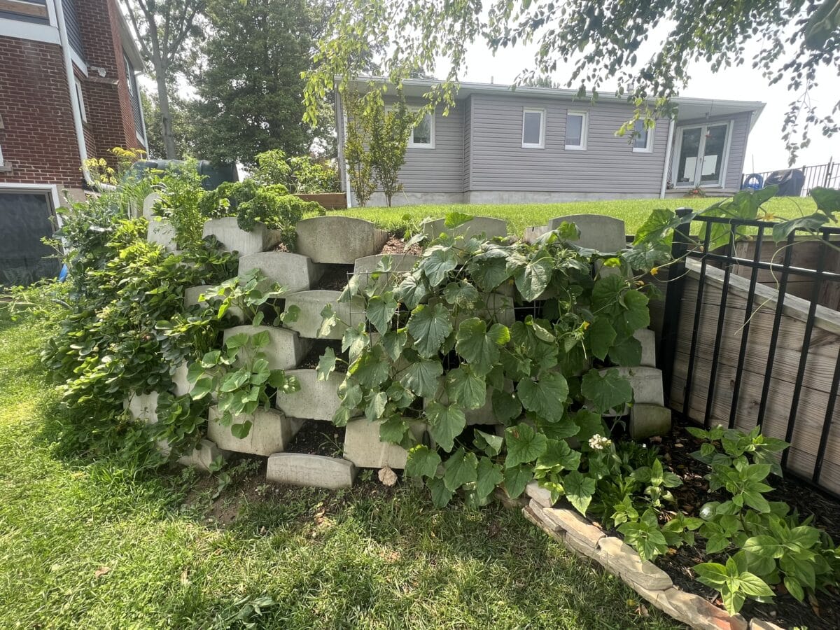 Retaining Wall Gardens - Vertical Garden Supply