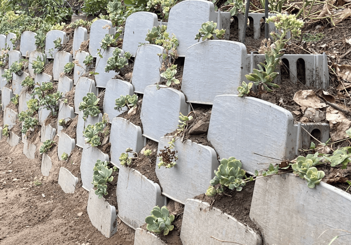 Enhancing Landscapes With Plantable Retaining Wall Blocks - Vertical ...
