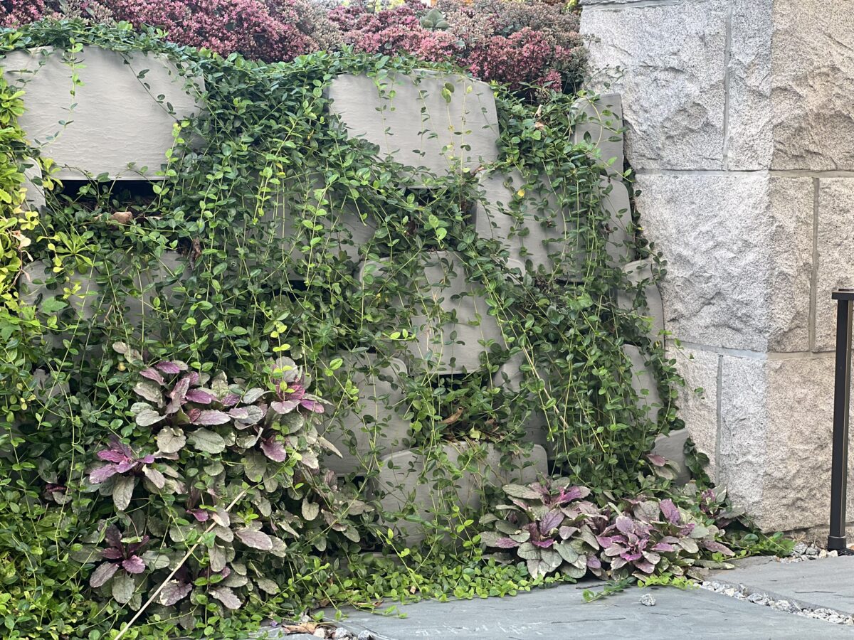 Living Retaining Wall Blocks - Vertical Garden Supply