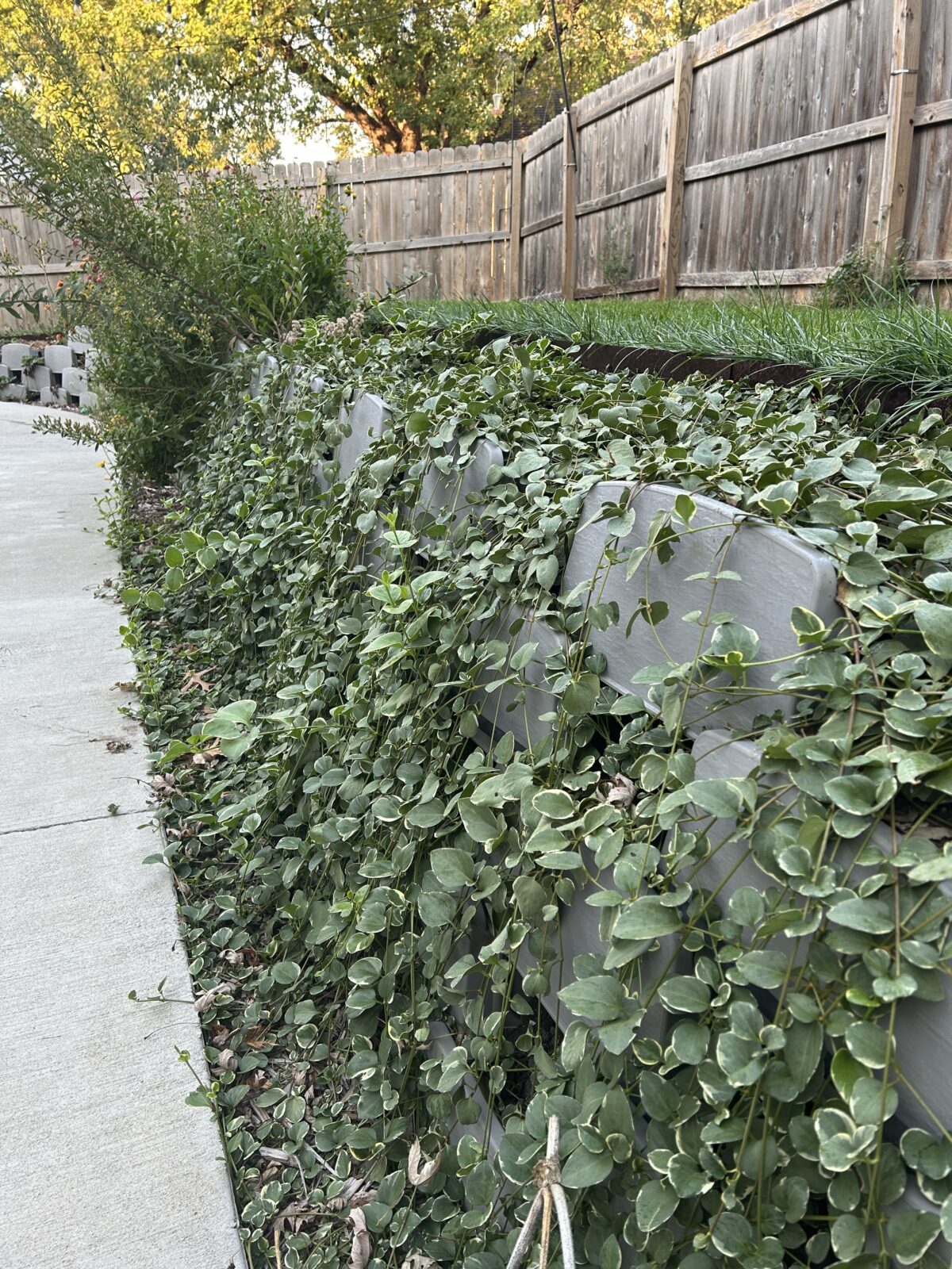 Varden Retaining Wall Blocks: Lightweight Plantable Solutions ...